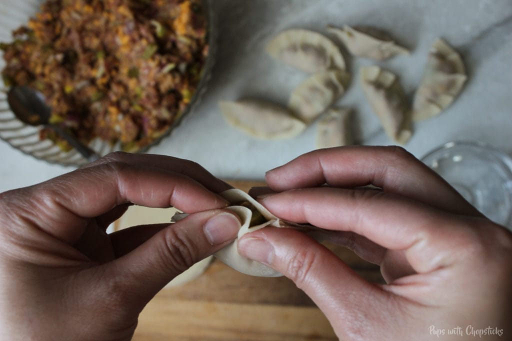 Guide to Folding Potstickers (2 Ways) - Pups with Chopsticks