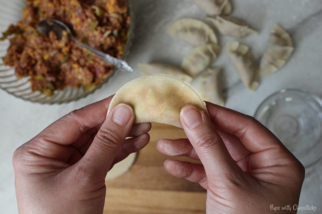 Guide to Folding Potstickers (2 Ways) - Pups with Chopsticks