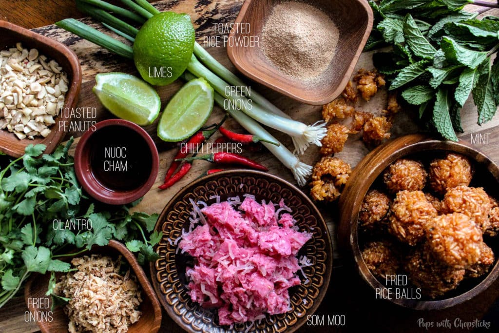Lao Crispy Rice Salad (Nam Khao) - Pups with Chopsticks