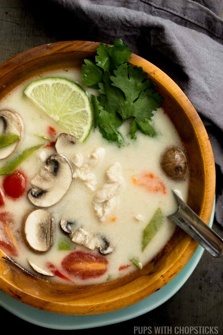 Easy Tom Kha Gai Soup (Thai Coconut Chicken Soup) - Pups with Chopsticks